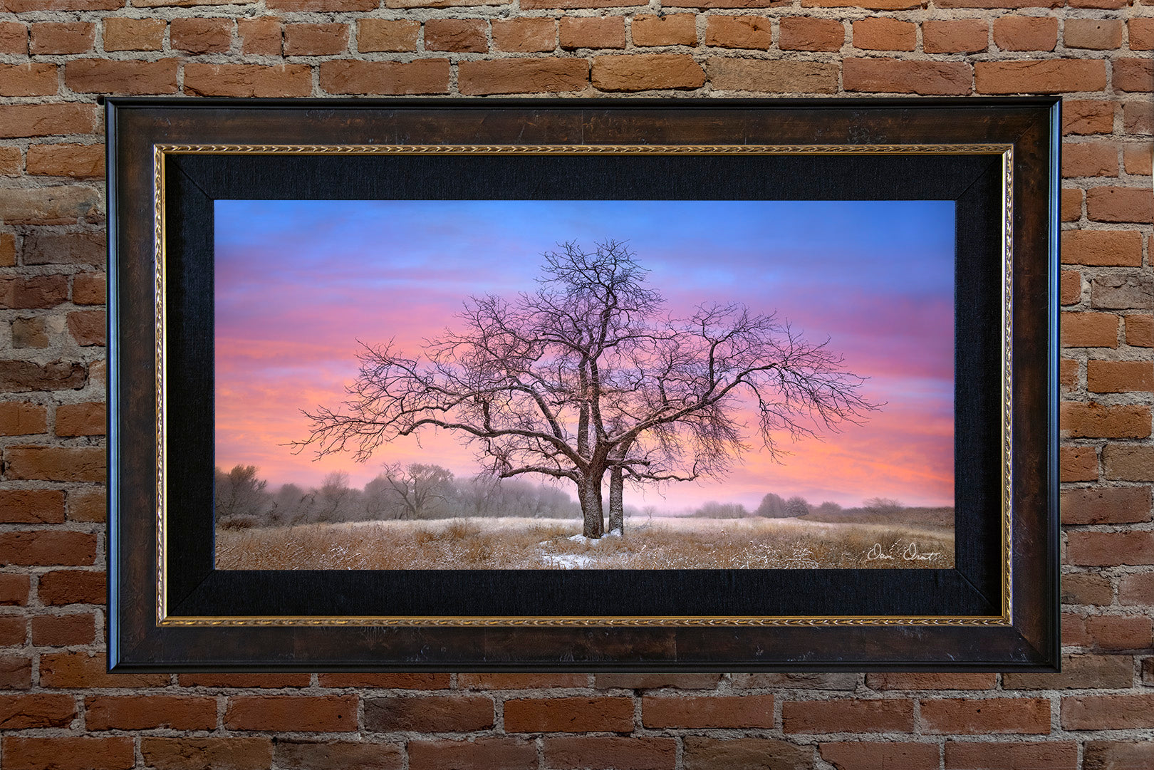 Dave Drost Photograph - 'Misty Morning' – Black Arrow Native American ...